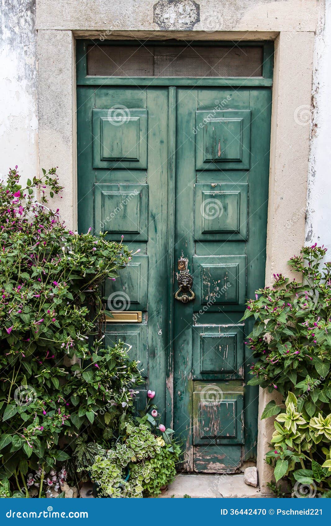 Aged Door stock photo. Image of antique, door, weathered - 36442470