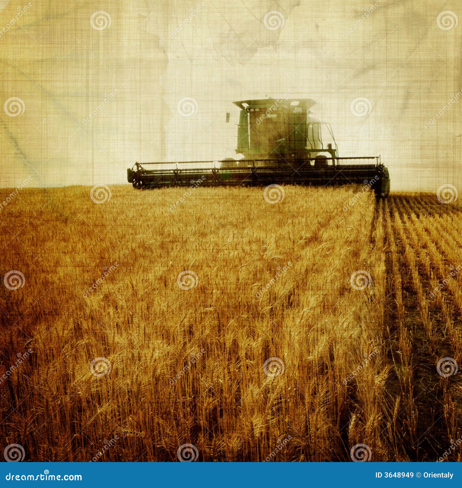 Aged field stock image. Image of rustic, rural, grunge - 3648949