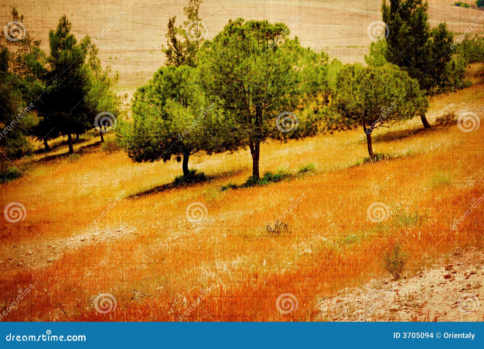Aged landscape stock photo. Image of agriculture, lawn - 3705094