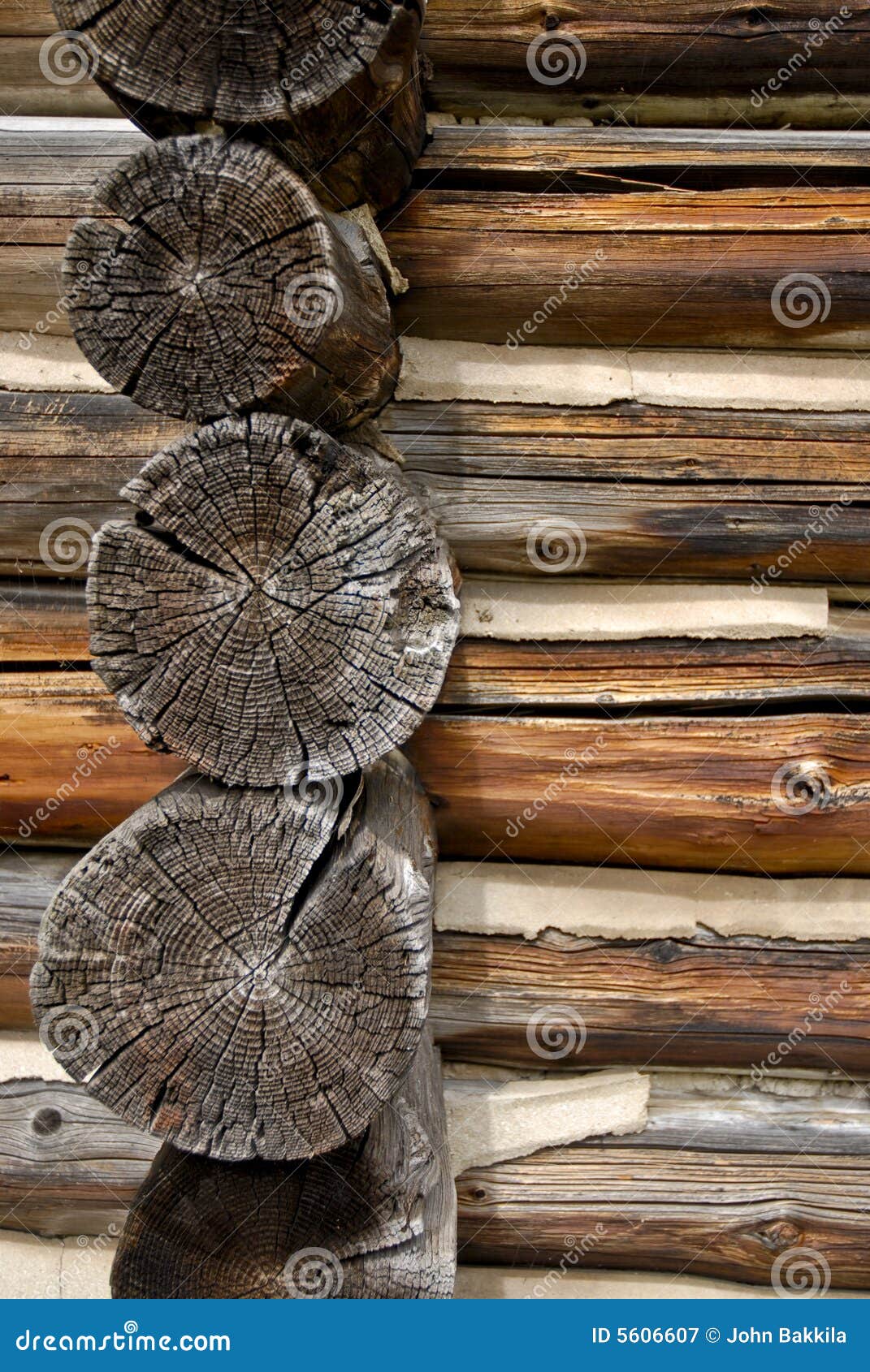 Aged log ends. stock image. Image of aged, weathered, logs - 5606607