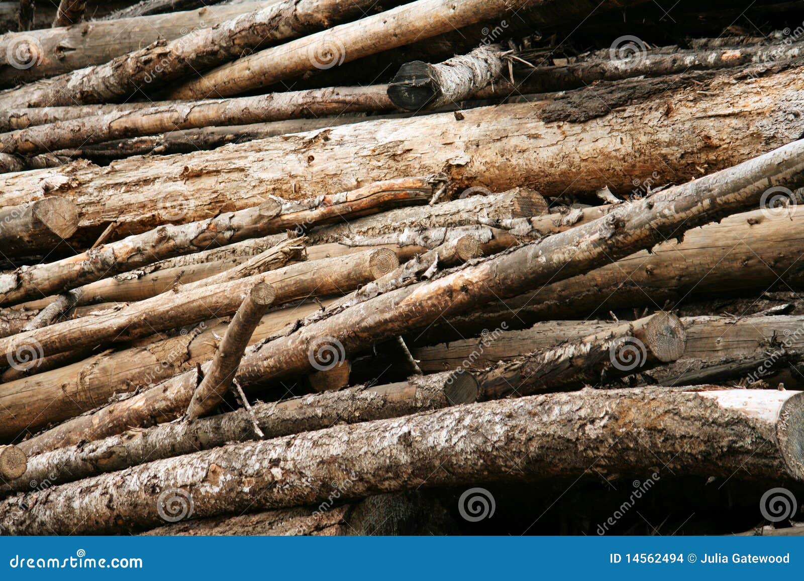 Aged Log Pile stock photo. Image of environment, building - 14562494