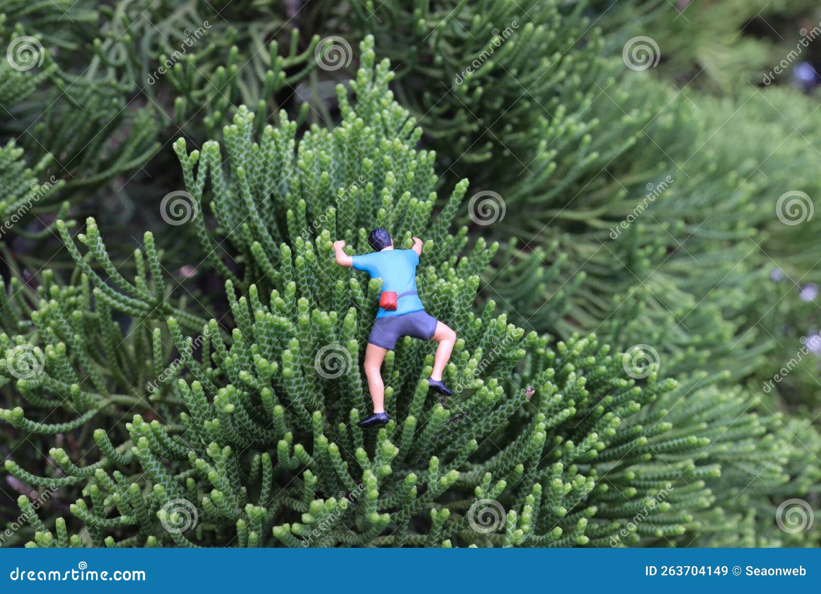 Miniature Figure Aged Man Proudly Standing on Tree Branch Stock Image ...