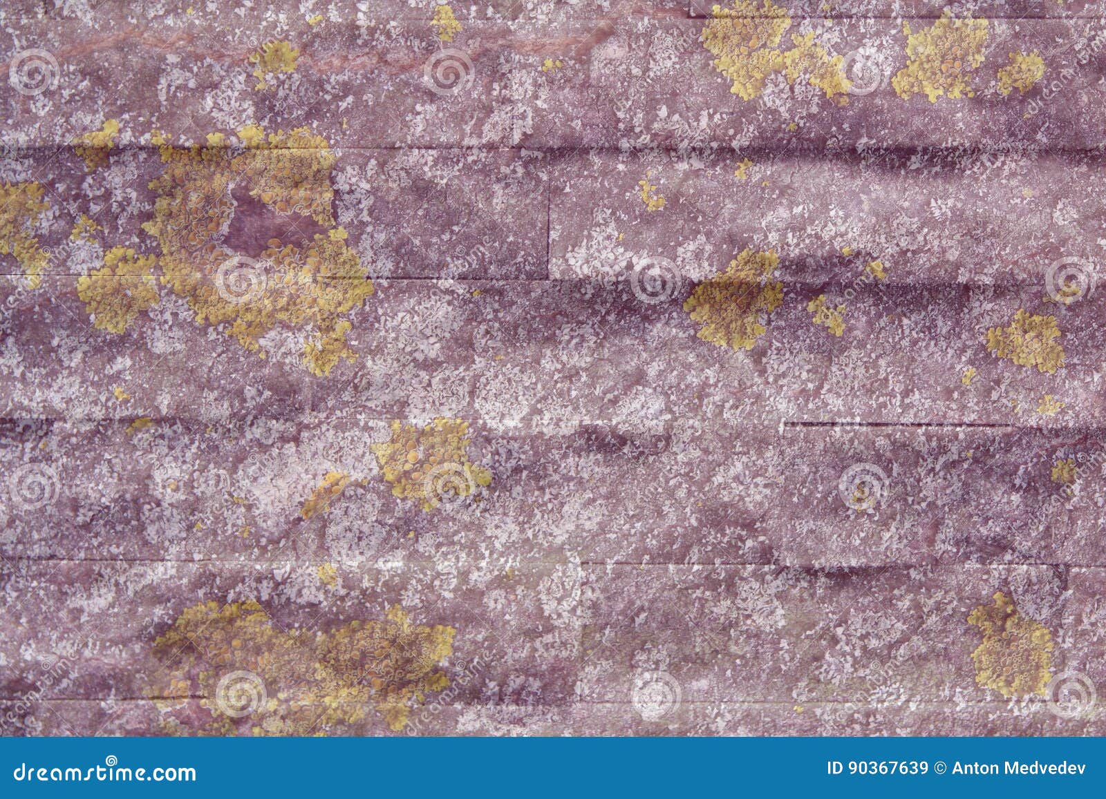 Aged Moss on the Wall Texture Stock Image - Image of grungy, bricks ...