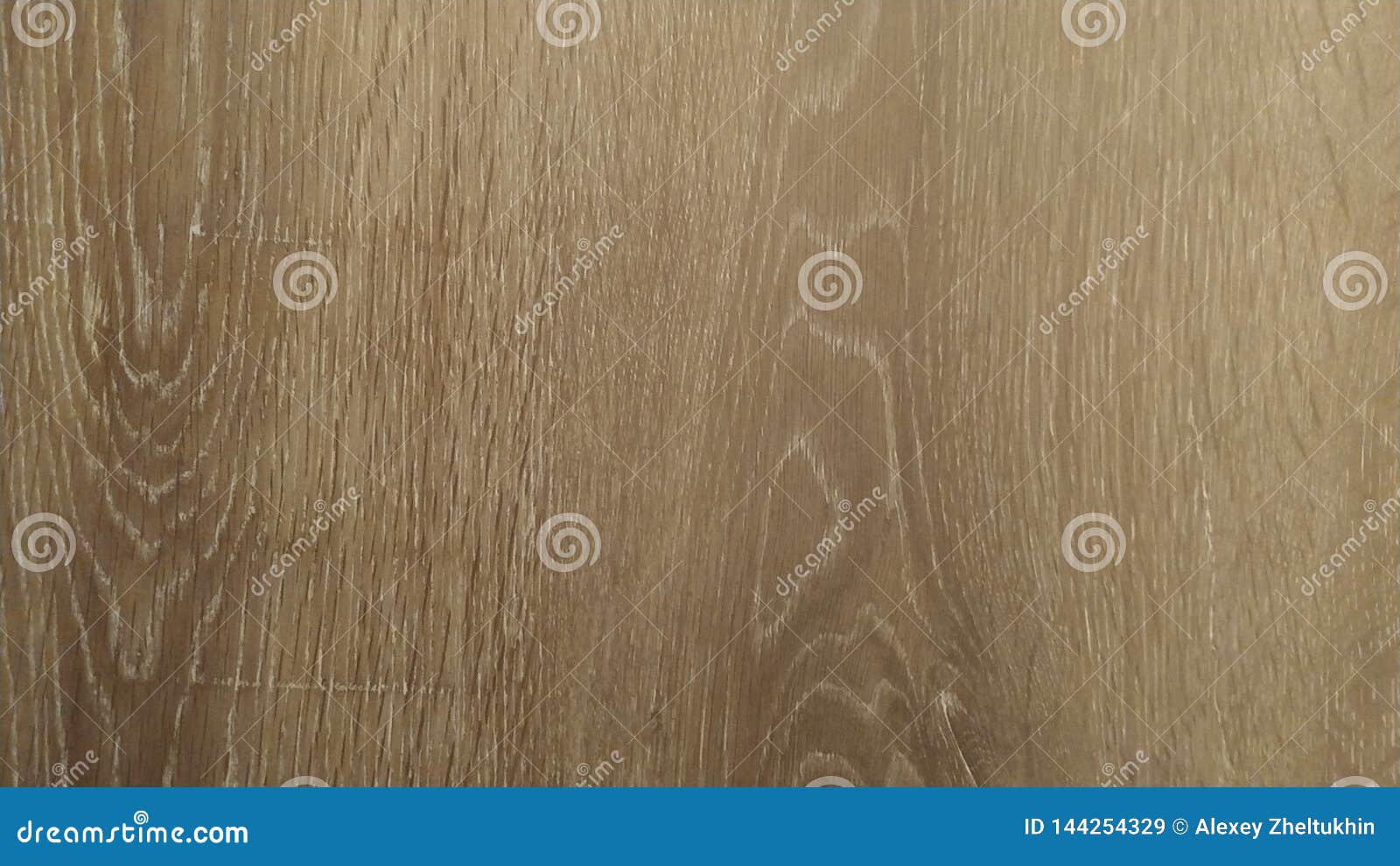 Aged Oak. Drawing on the Cut. Background, Texture. Close-up Stock Image ...
