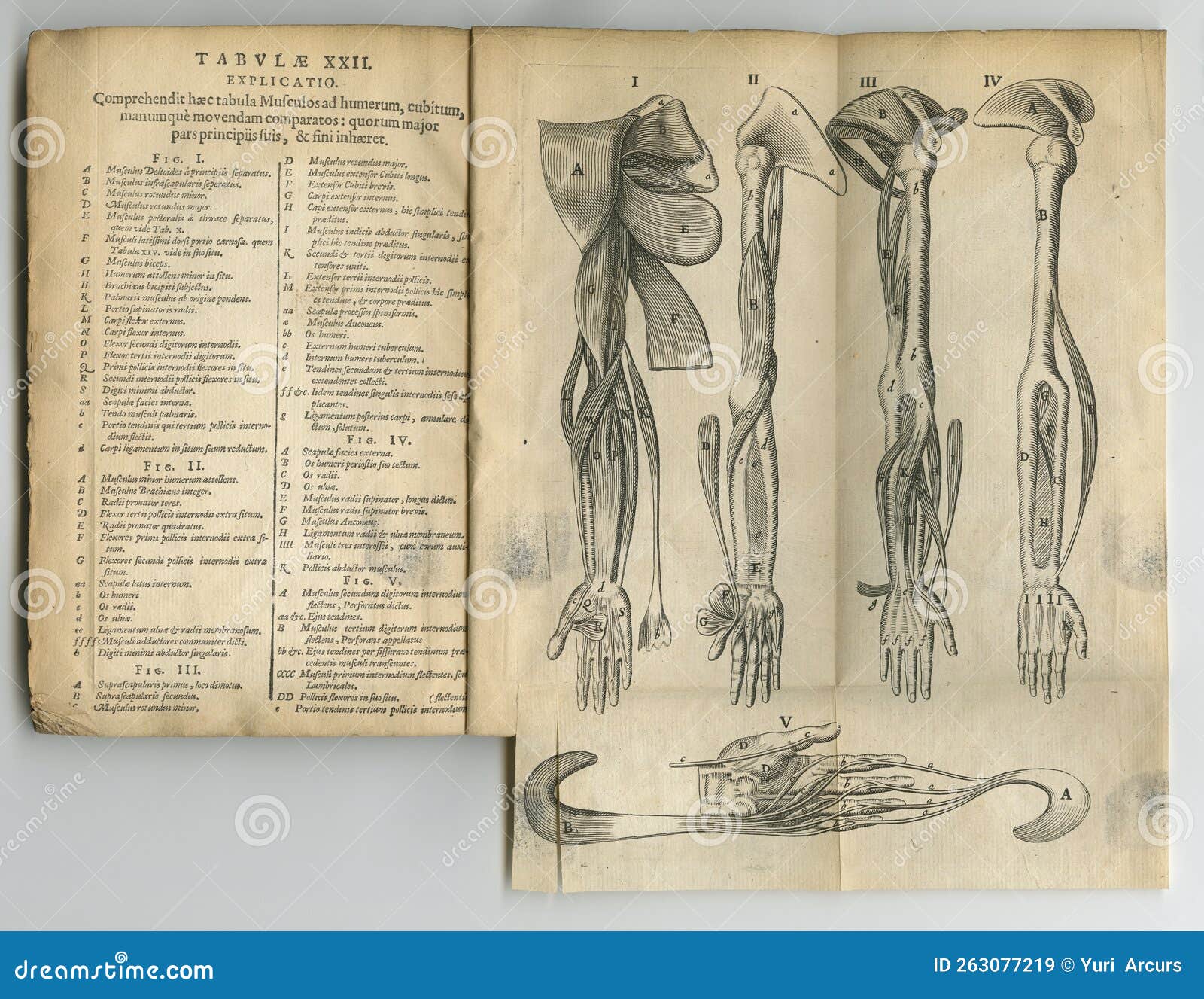 Aged Old Anatomy Book. an Old Anatomy Book with Its Pages on Display ... Aged Old Anatomy Book. an Old Anatomy Book with Its Pages on Display ...
