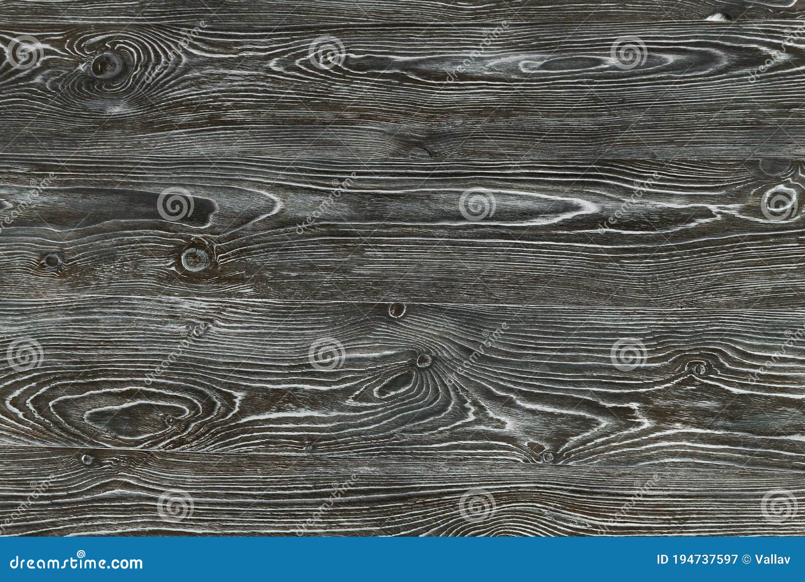 Aged Pine Wood with a Contrasting Structure and Pronounced Layers Stock ...