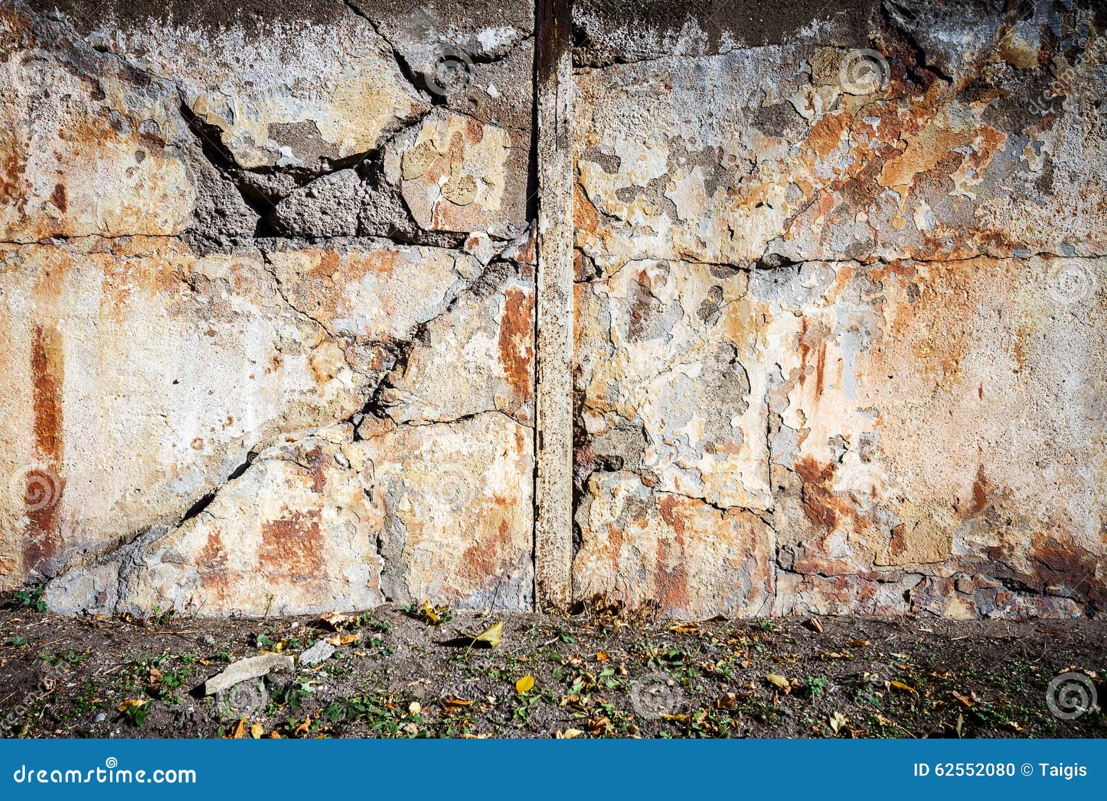 Aged plaster wall stock photo. Image of cement, leaves - 62552080