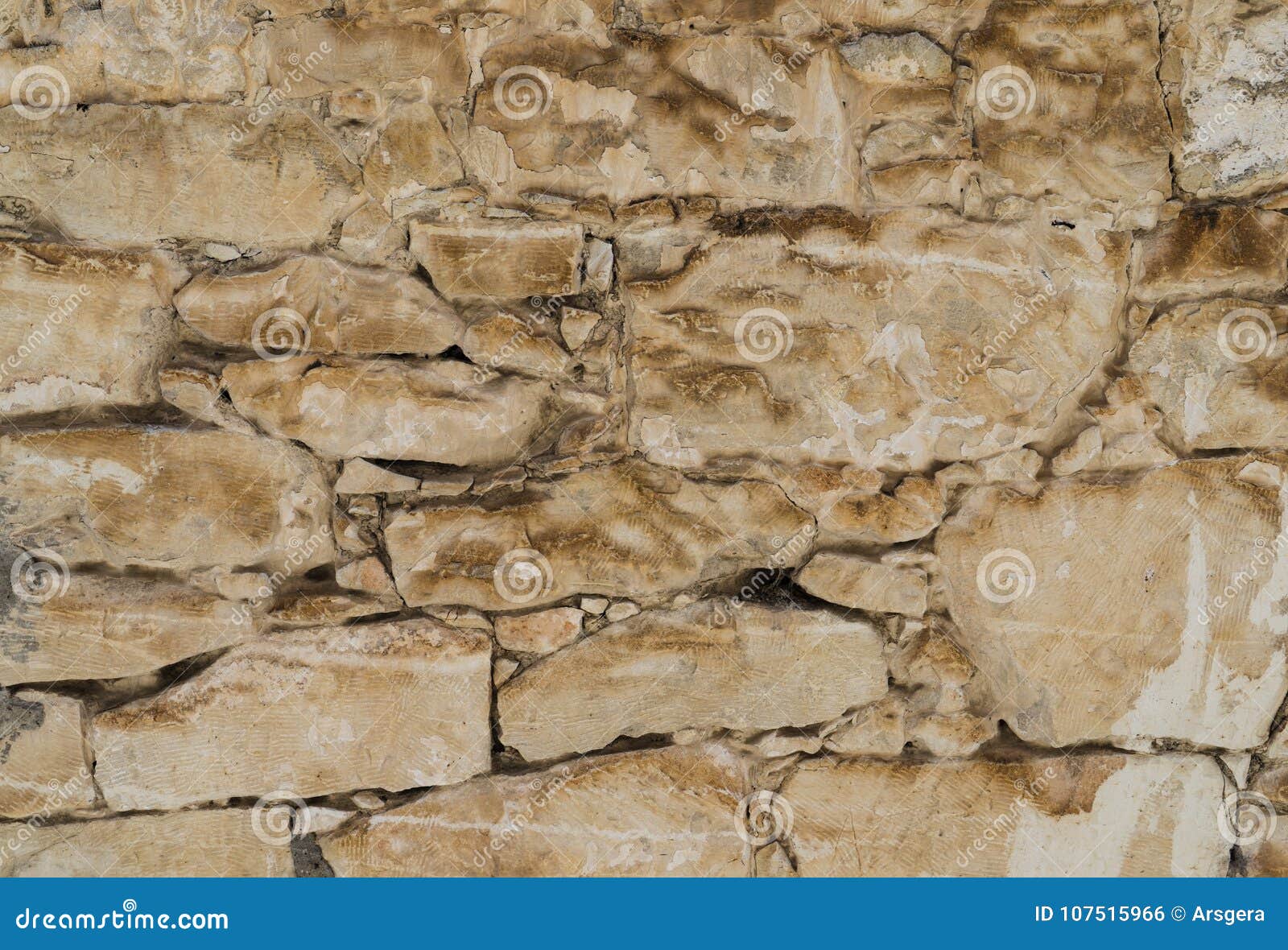Aged Shell Rock Stone Wall Texture or Background Stock Photo - Image of ...