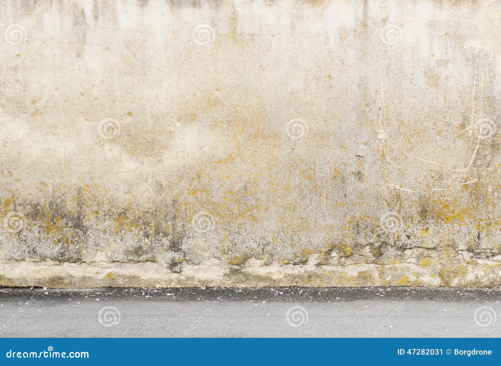 Aged Street Concrete Wall Texture.white Concrete Texture Background Of ...
