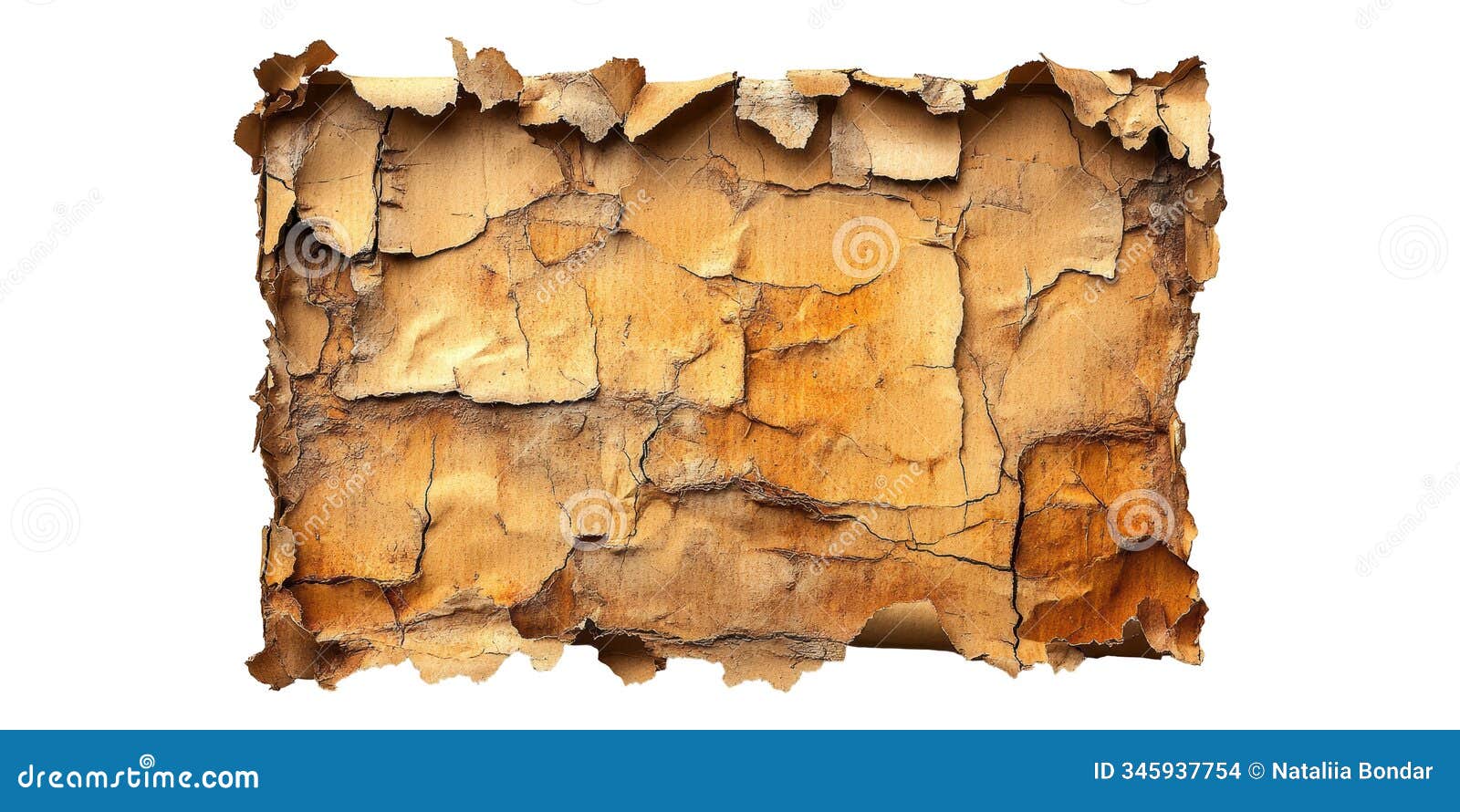 Aged Textured Paper with Cracked Surface Isolated on Transparent ...
