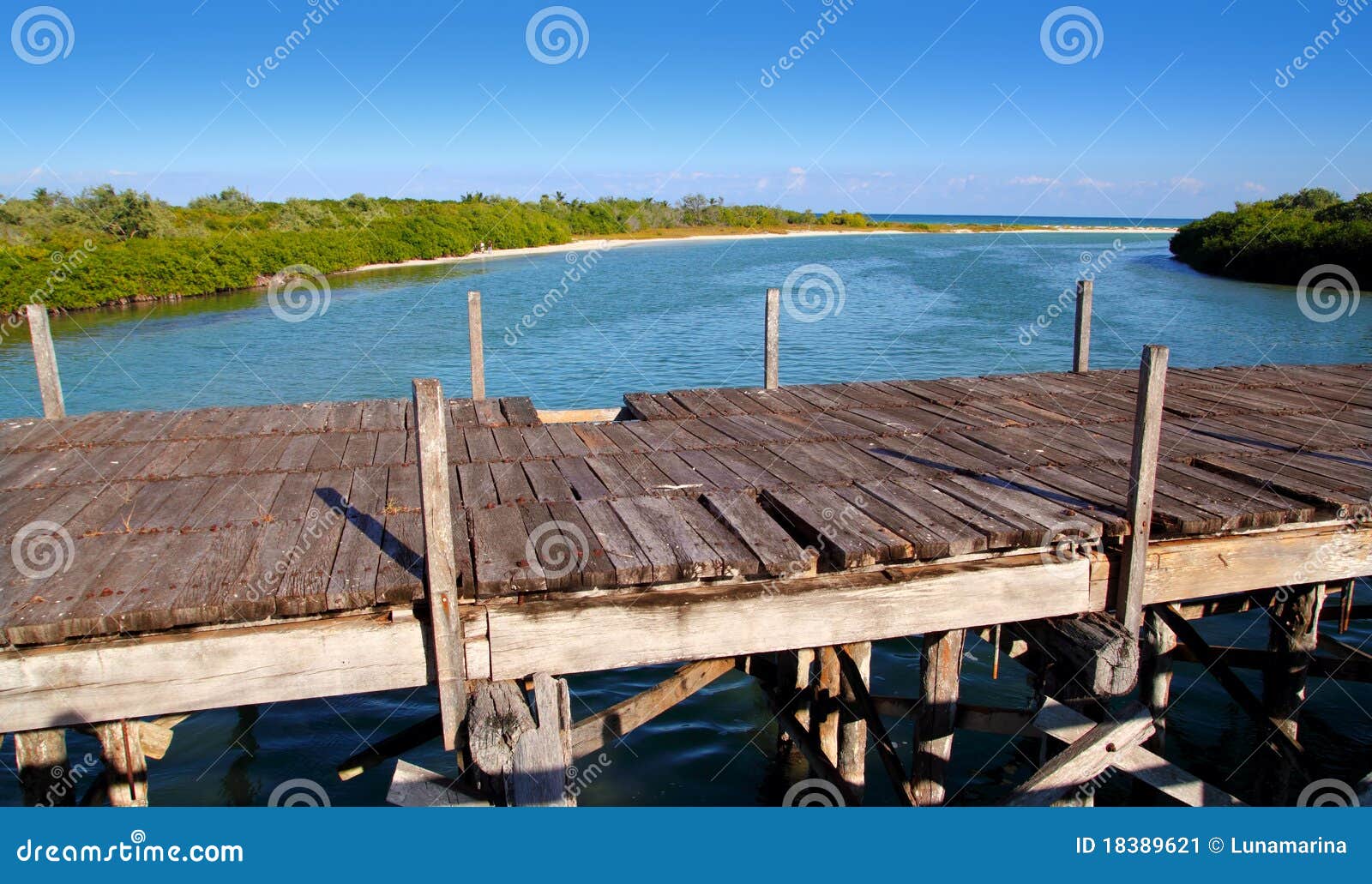 Tropical Wood Plank Ramp With Wheelchair Specially Adapted For ...