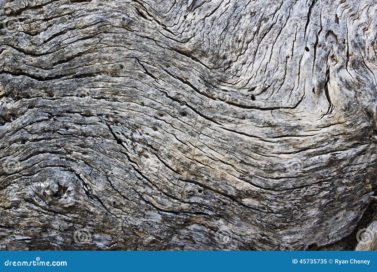 Aged and Warped Wood. stock image. Image of colorado - 45735735