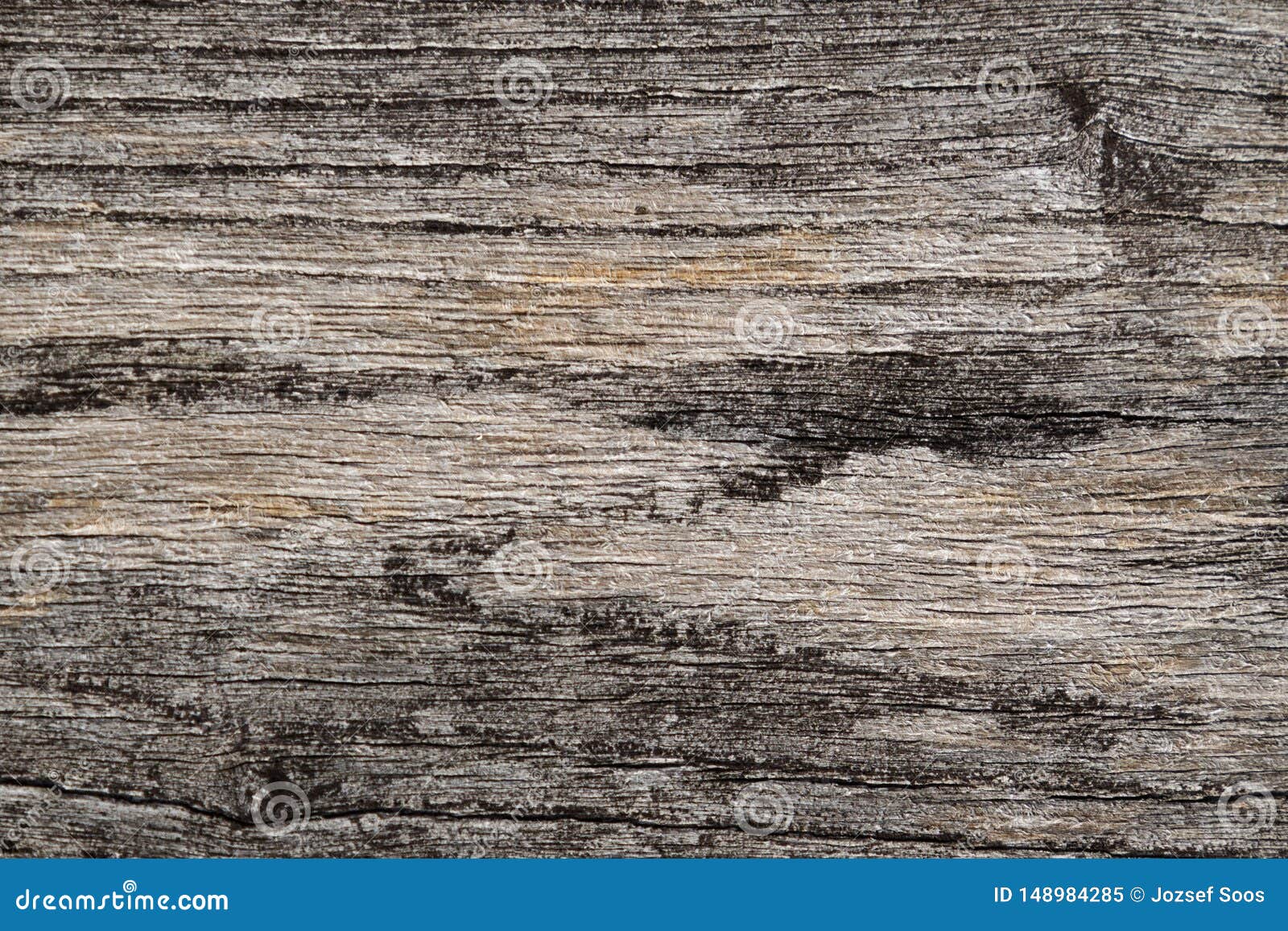 Aged Weathered Wood Surface Texture in Poor Condition Stock Image ...