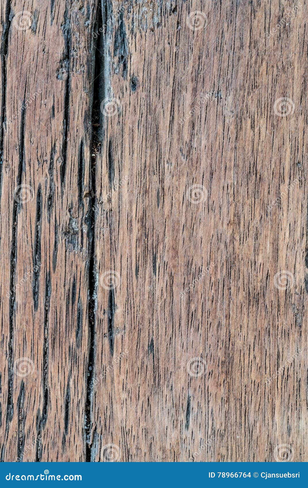 Aged Wood texture stock photo. Image of hardwood, design - 78966764