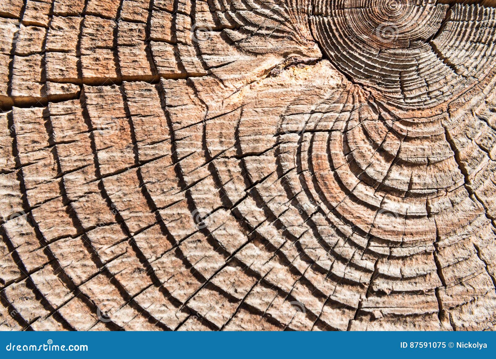 Aged wood texture stock image. Image of nature, backdrop - 87591075