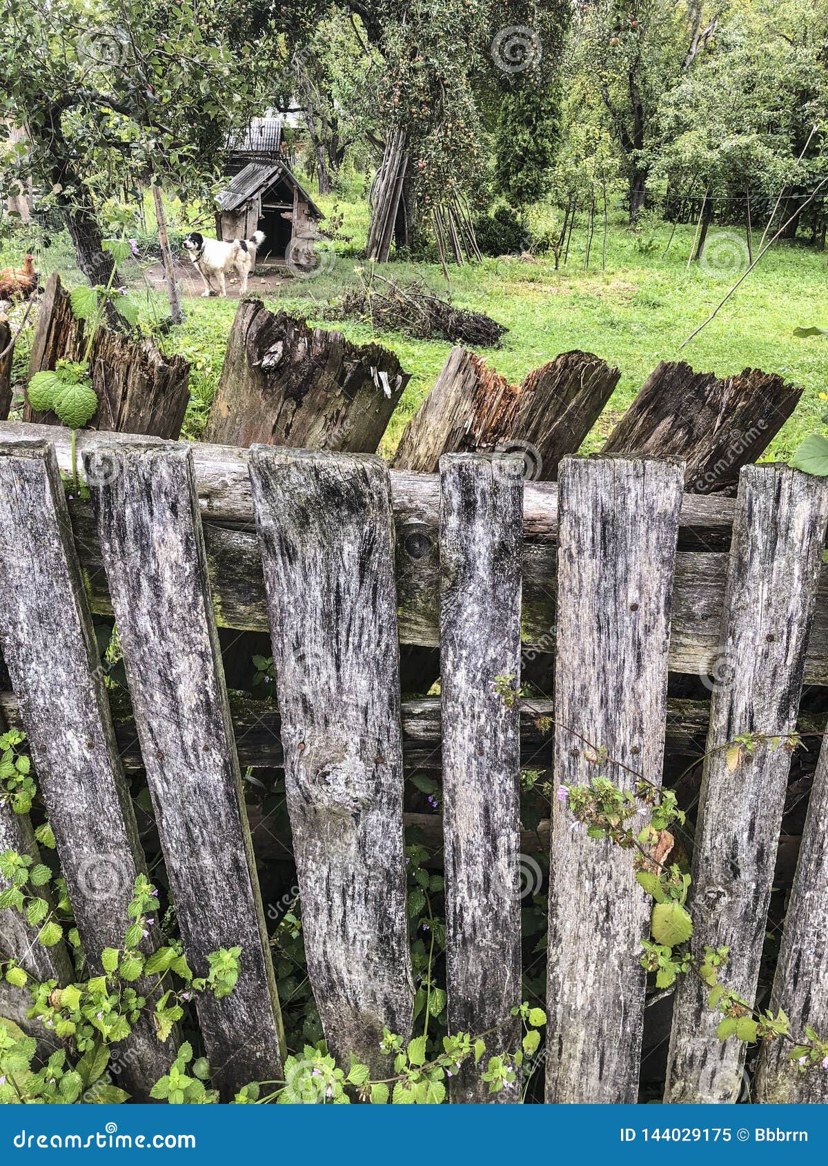 Aged Wooden Fence of a Garden in Spring Stock Image - Image of meadow ...