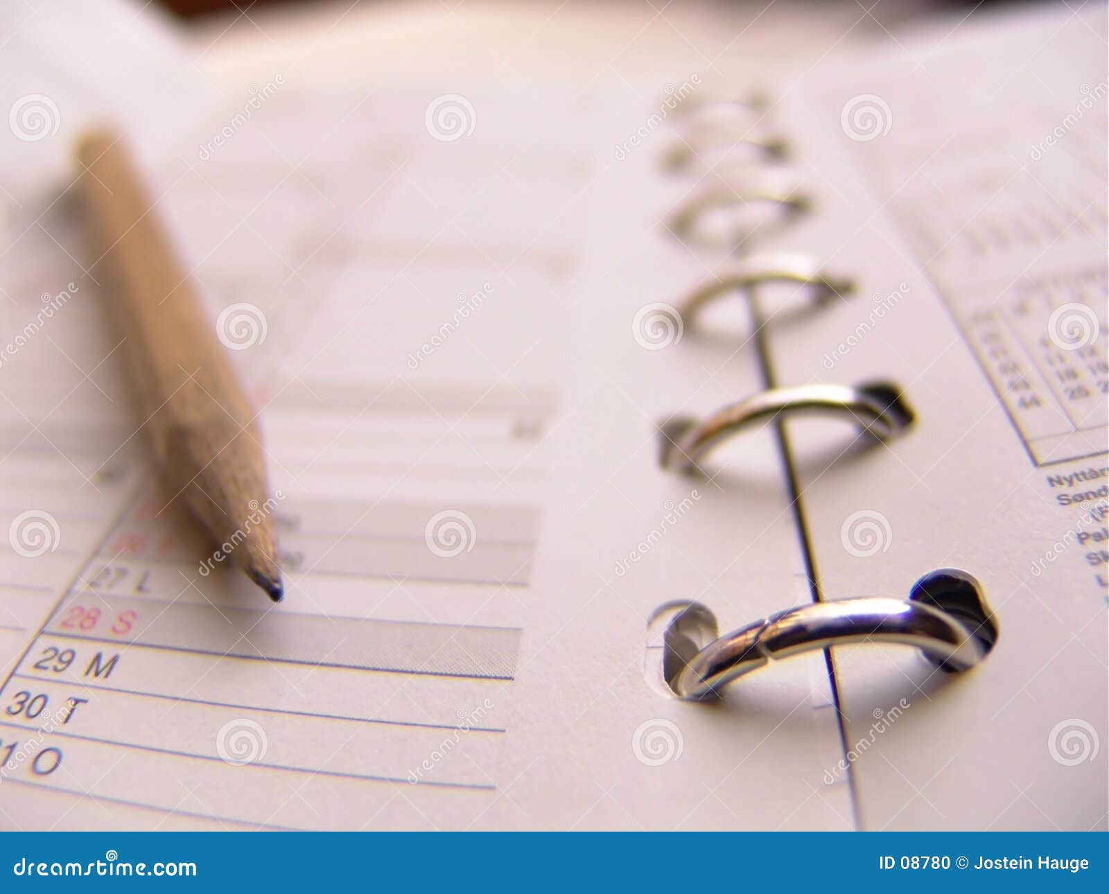 Agenda stock photo. Image of agenda, busy, date, business - 8780