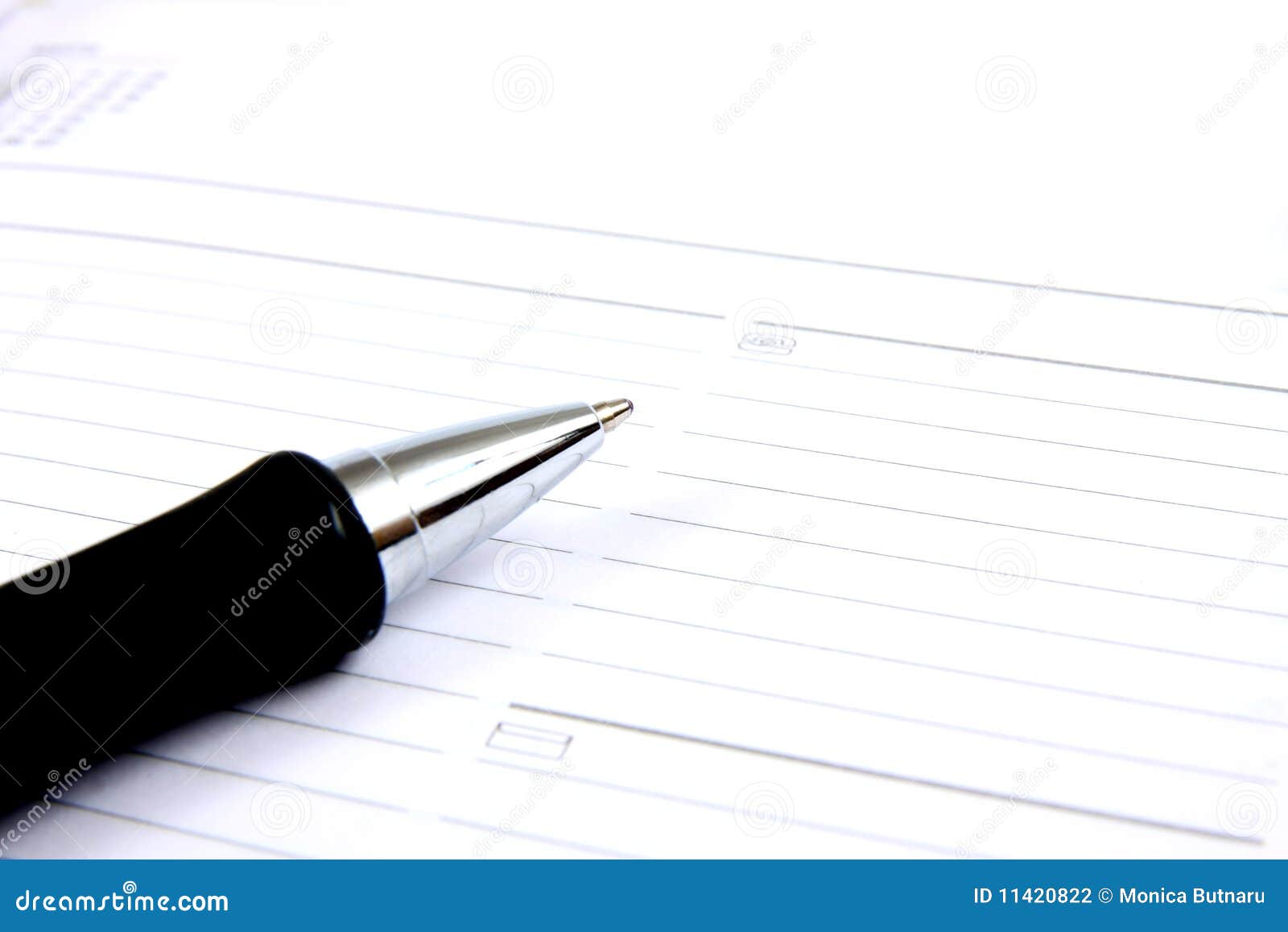 Agenda and ball pen stock photo. Image of planner, finance - 11420822