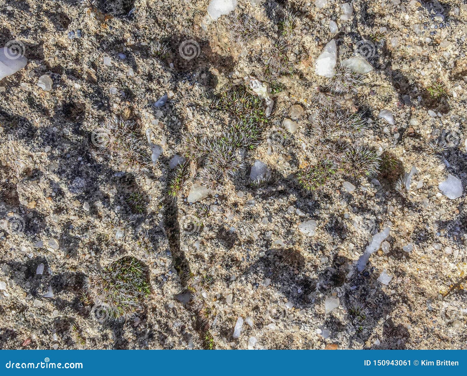 Aggregate Rock Textured Background Stock Image - Image of stone, rock ...