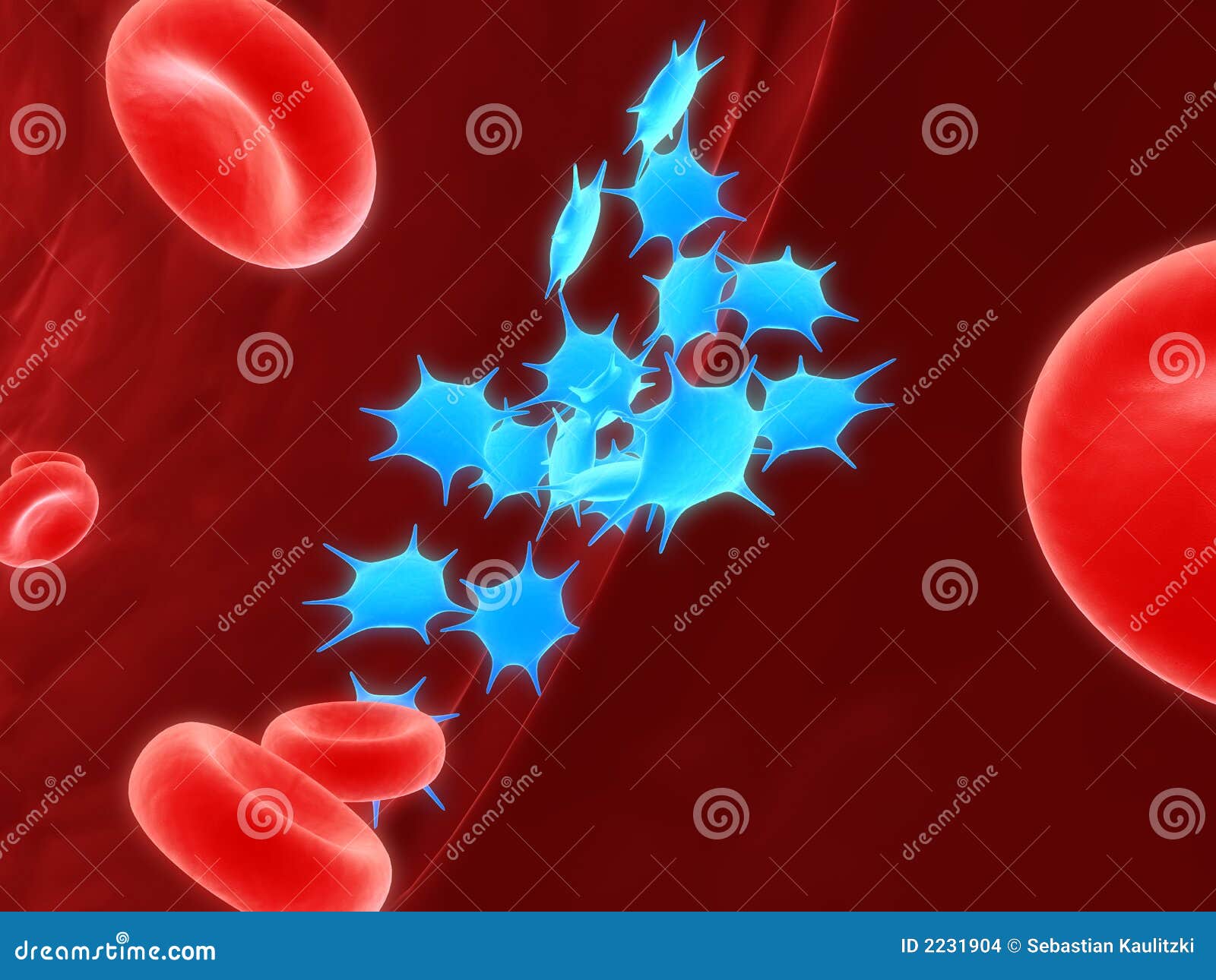 Aggregation wound stock illustration. Illustration of wound - 2231904