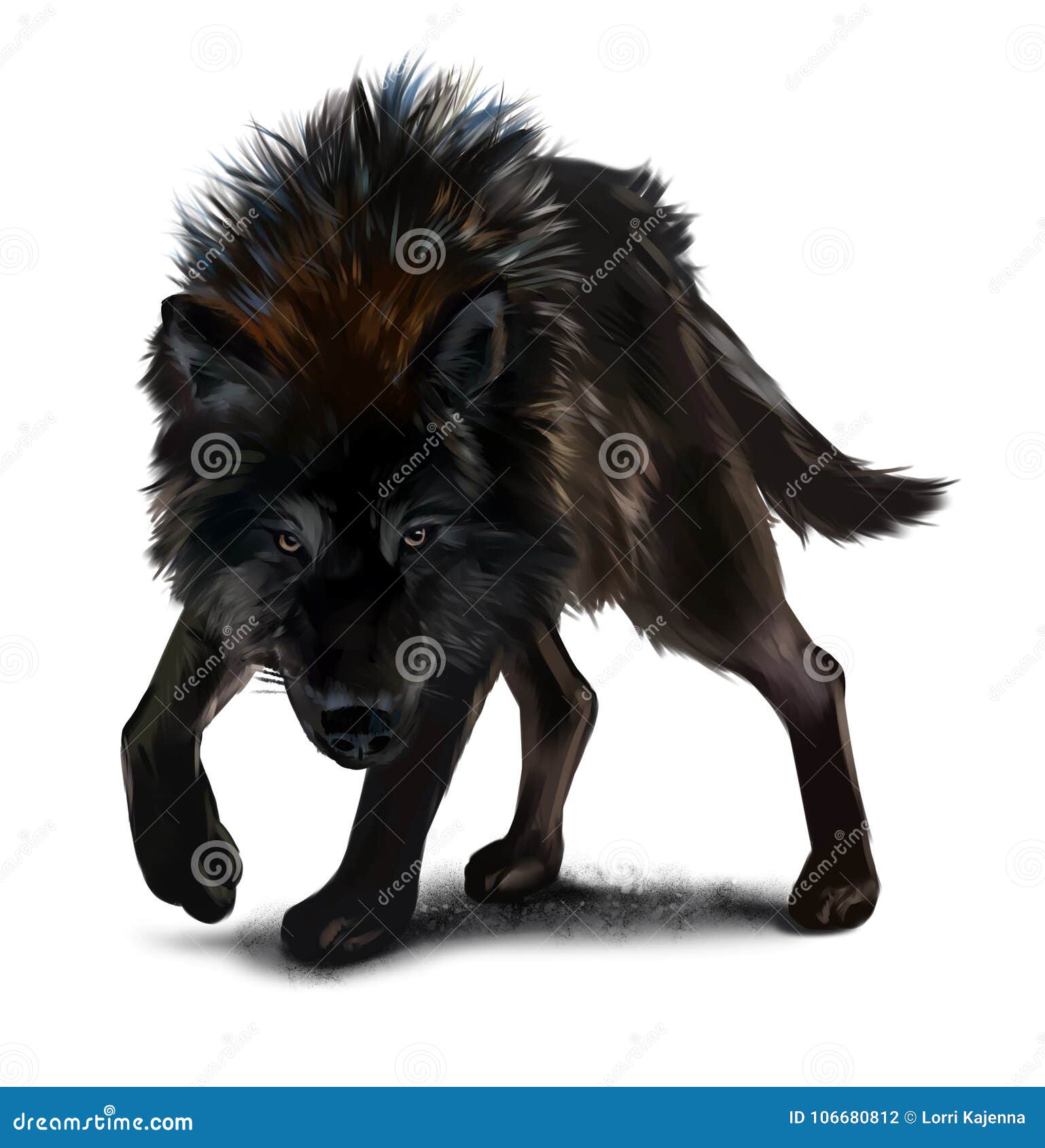 Aggressive Black Wolf Watercolor Painting Stock Illustration ...