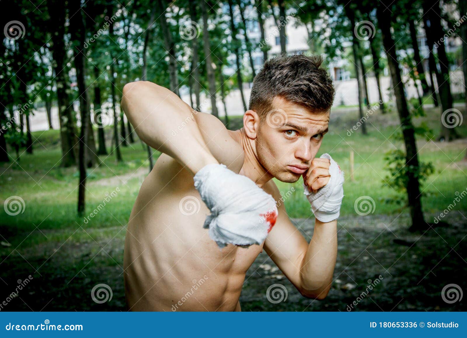 Boxer is training stock photo. Image of blood, male - 180653336