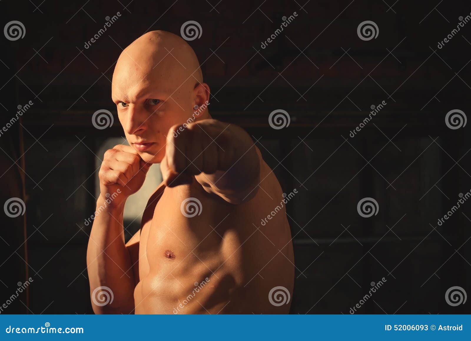 12,445 Aggressive Fighter Stock Photos - Free & Royalty-Free Stock ...