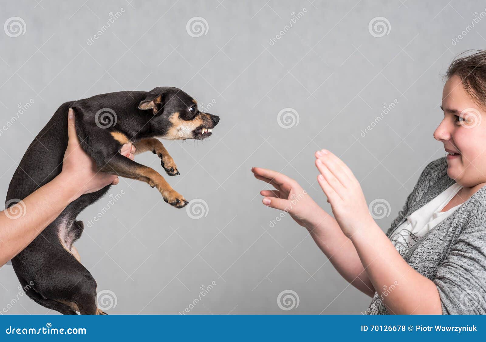 Are Miniature Pinscher Aggressive