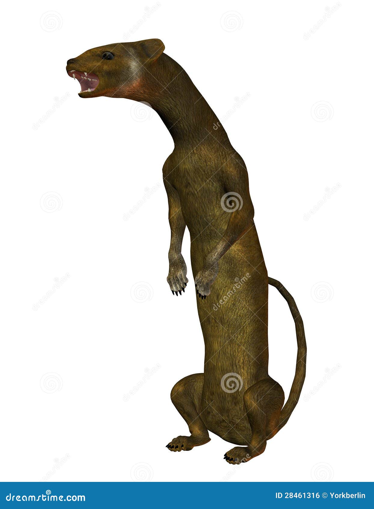 Aggressive weasel stock illustration. Illustration of animals - 28461316
