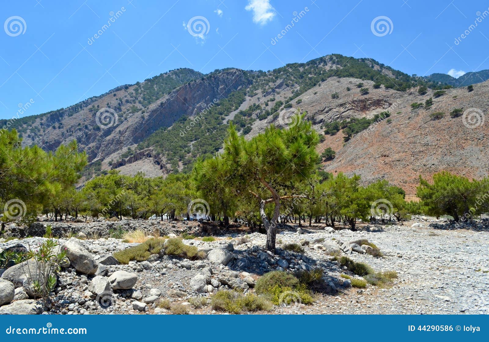 Agia Roumeli stock photo. Image of stone, scenic, green - 44290586