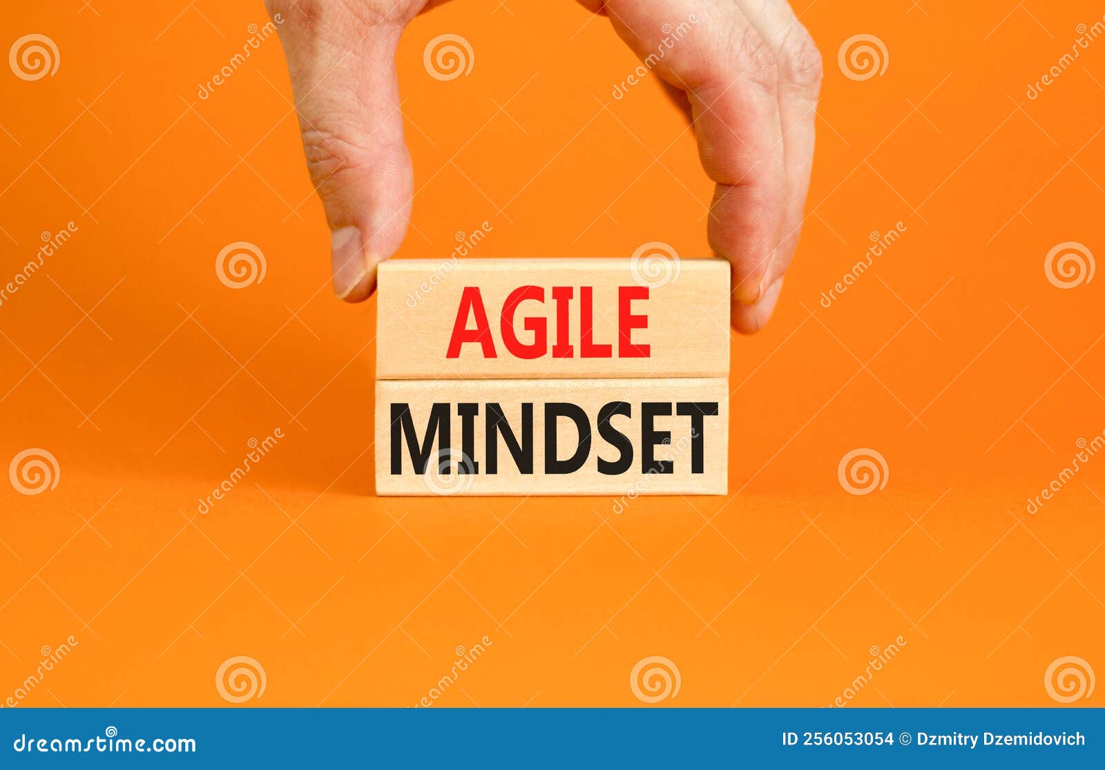 Agile Mindset Symbol Concept Words Agile Mindset On Wooden Blocks