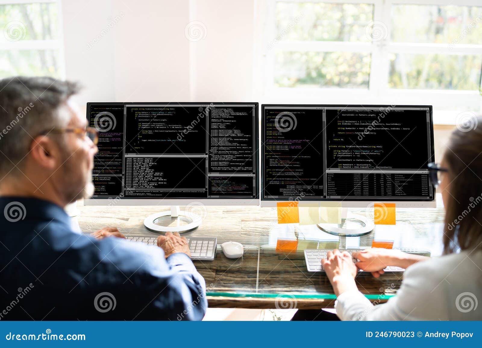 Agile Pair Programming And Extreme Coding Stock Image Image Of Monitors Coder 246790023