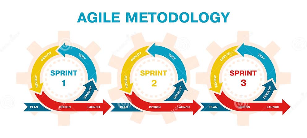 Agile Project Management, Development Methodology Infographic. Agile ...