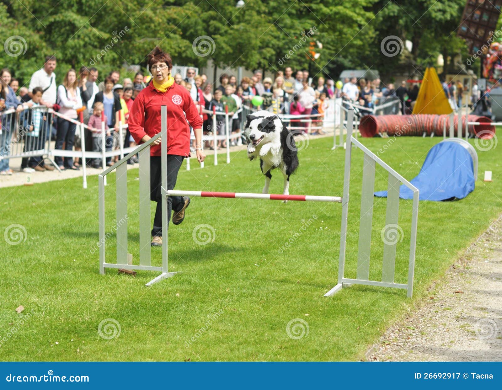 Agility competitions editorial photography. Image of people - 26692917