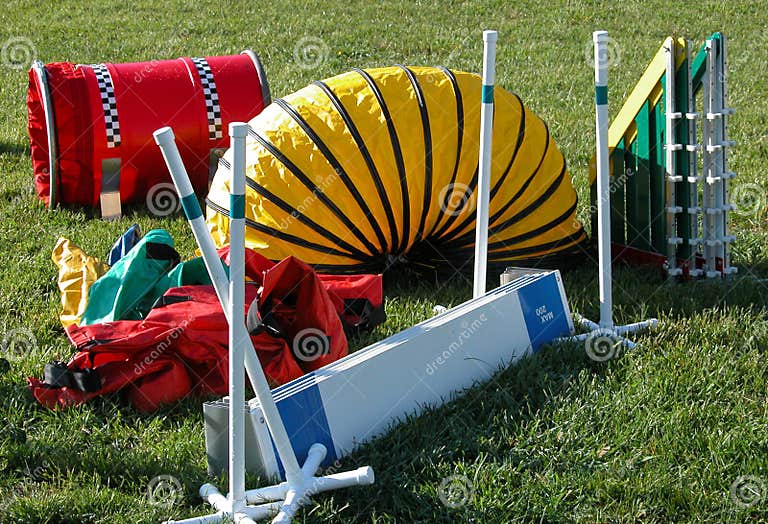 Agility Equipment stock photo. Image of speed, poles, hobby - 137852