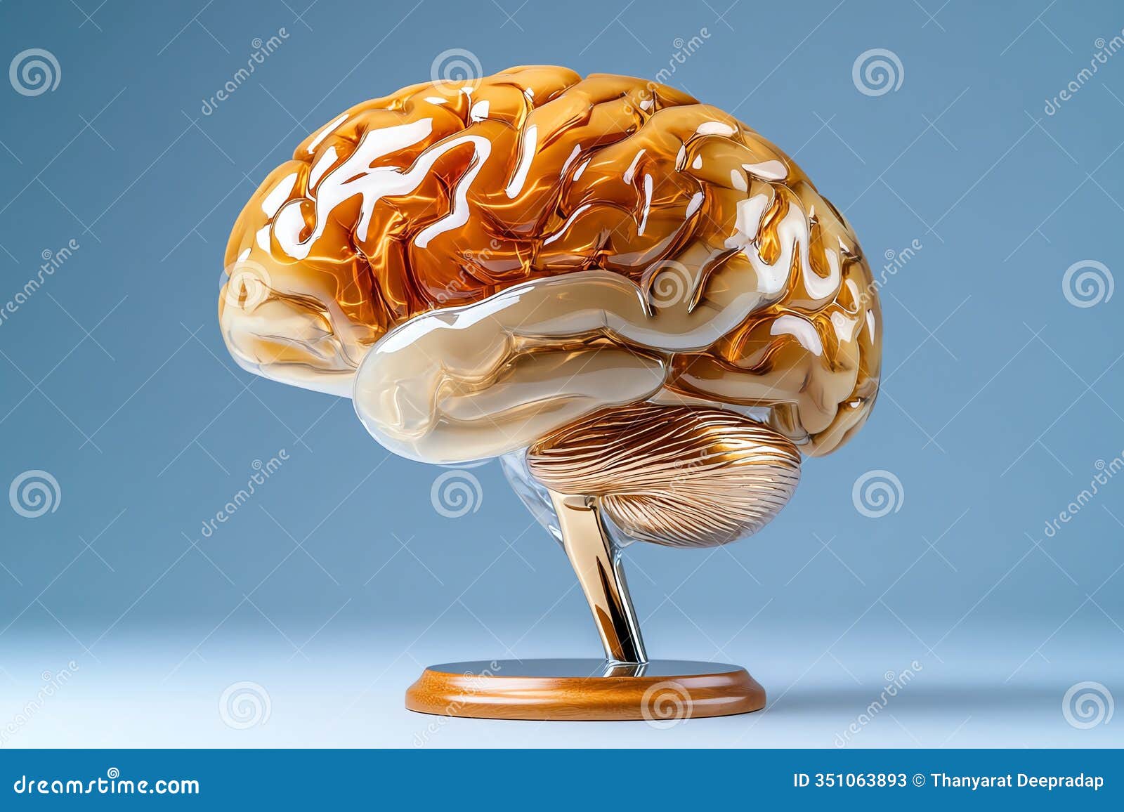 Aging Brain, Gray Matter Reduction, Structural Changes Impact Overall ... Aging Brain, Gray Matter Reduction, Structural Changes Impact Overall ...