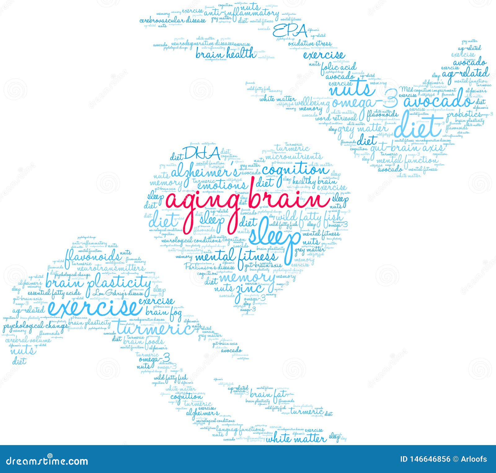 Aging Brain Word Cloud Vector Illustration | CartoonDealer.com #146646856