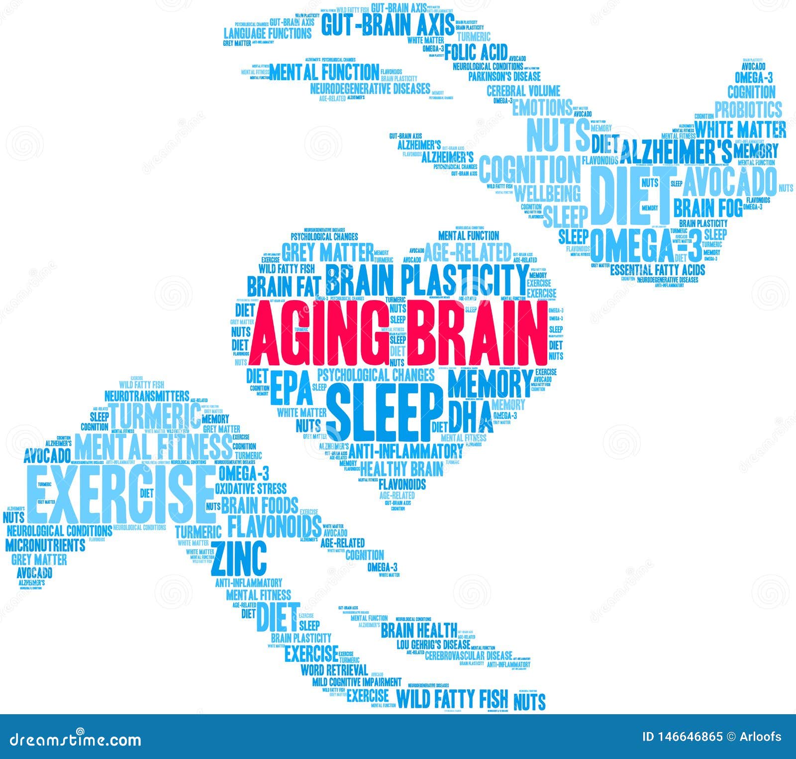 Aging Brain Word Cloud stock vector. Illustration of hormones - 146646865