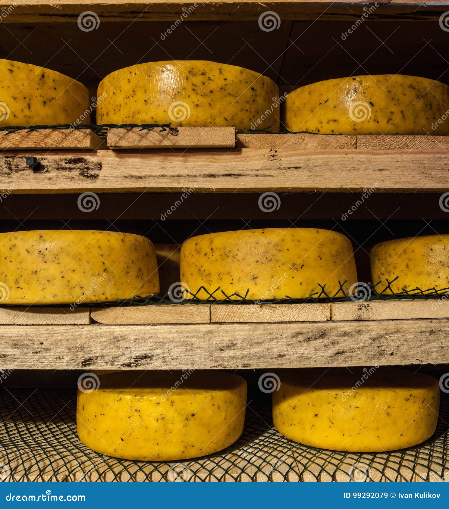 Aging Cheese at Cheese Factory Stock Image - Image of wheel ...