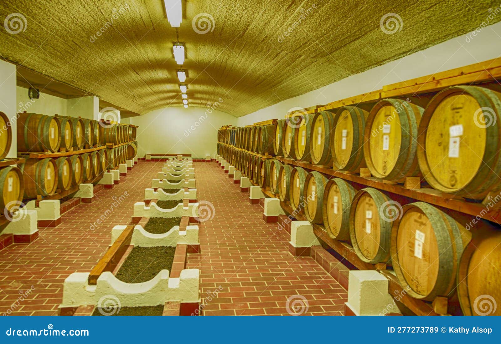Oak Barrels of Wine in Cellar Stock Image - Image of aging, kegs: 277273789