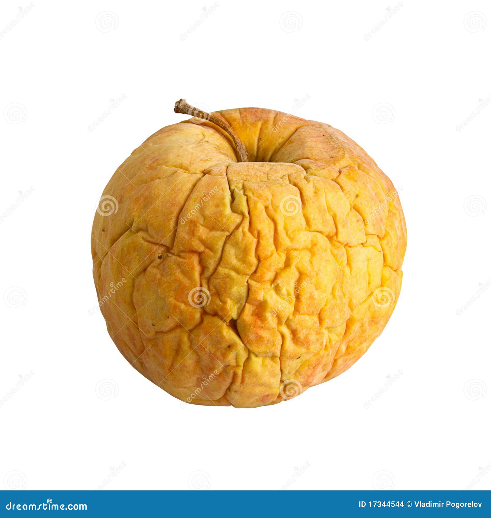 130 Shrivelled Skin Stock Photos - Free & Royalty-Free Stock Photos ...