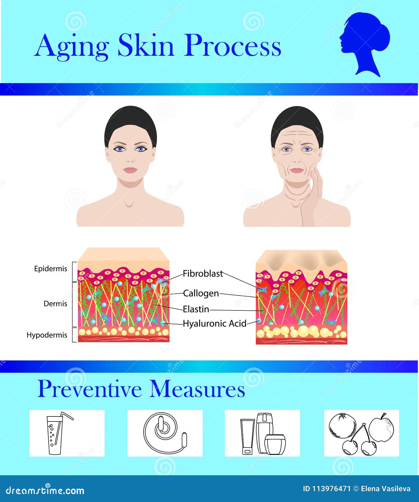 Schematic Of Aging Process A Flowchart Starting From DNA Structure ...