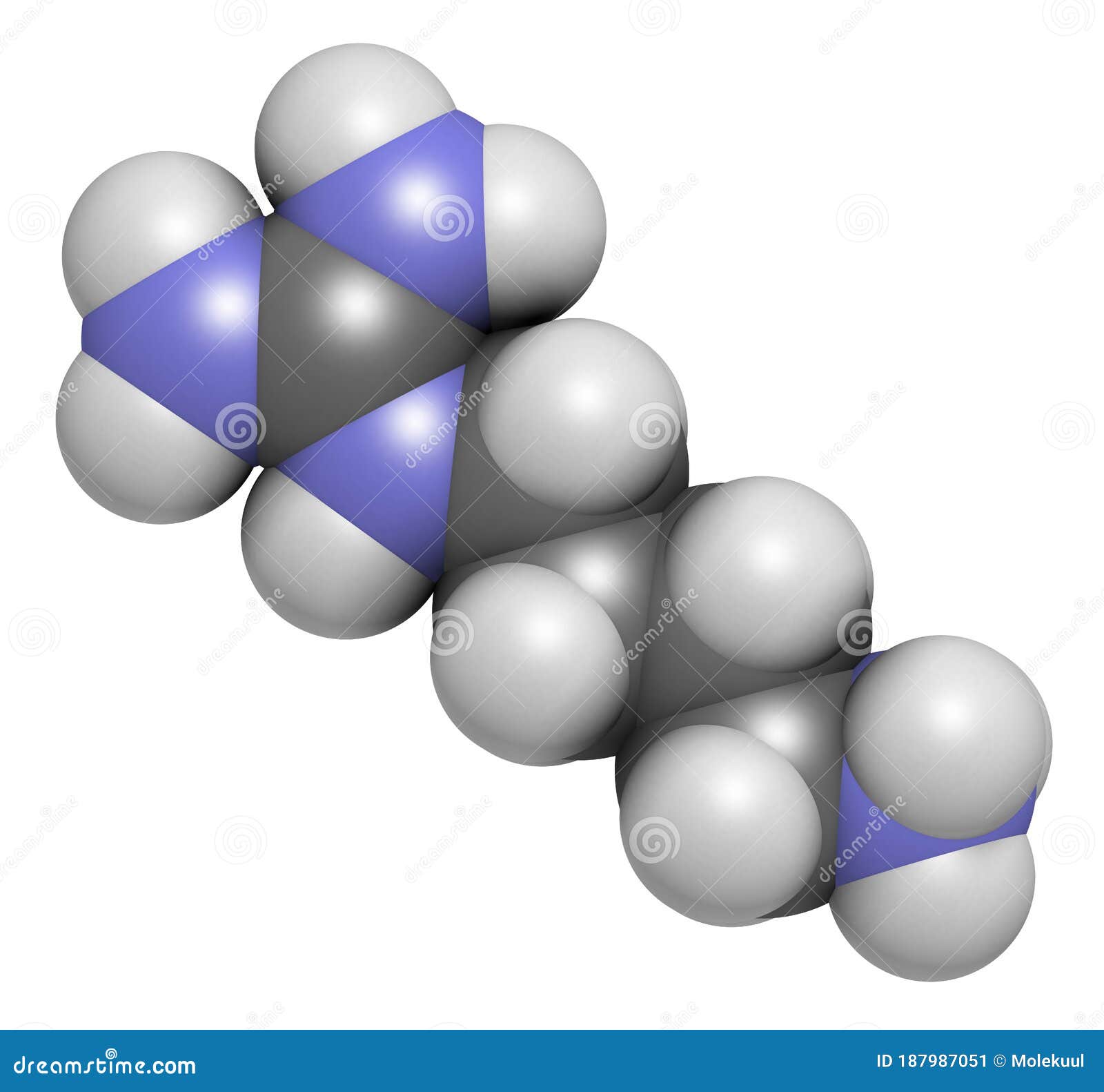 Agmatine Molecule. Stylized 2D Renderings And Conventional Skeletal ...