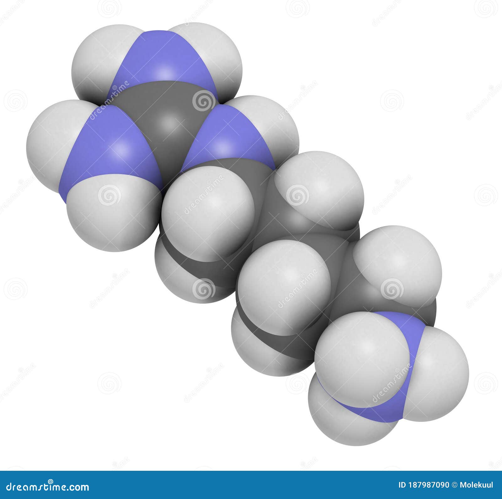 Agmatine Molecule. Stylized 2D Renderings And Conventional Skeletal ...