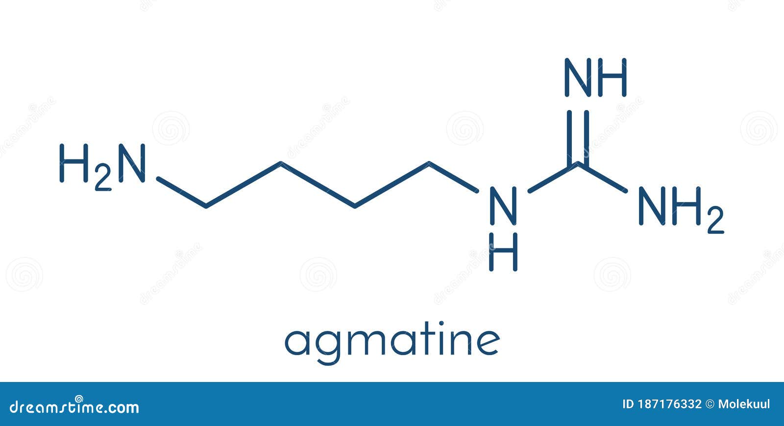 Agmatine Molecule. Skeletal Formula. Stock Vector - Illustration of ...