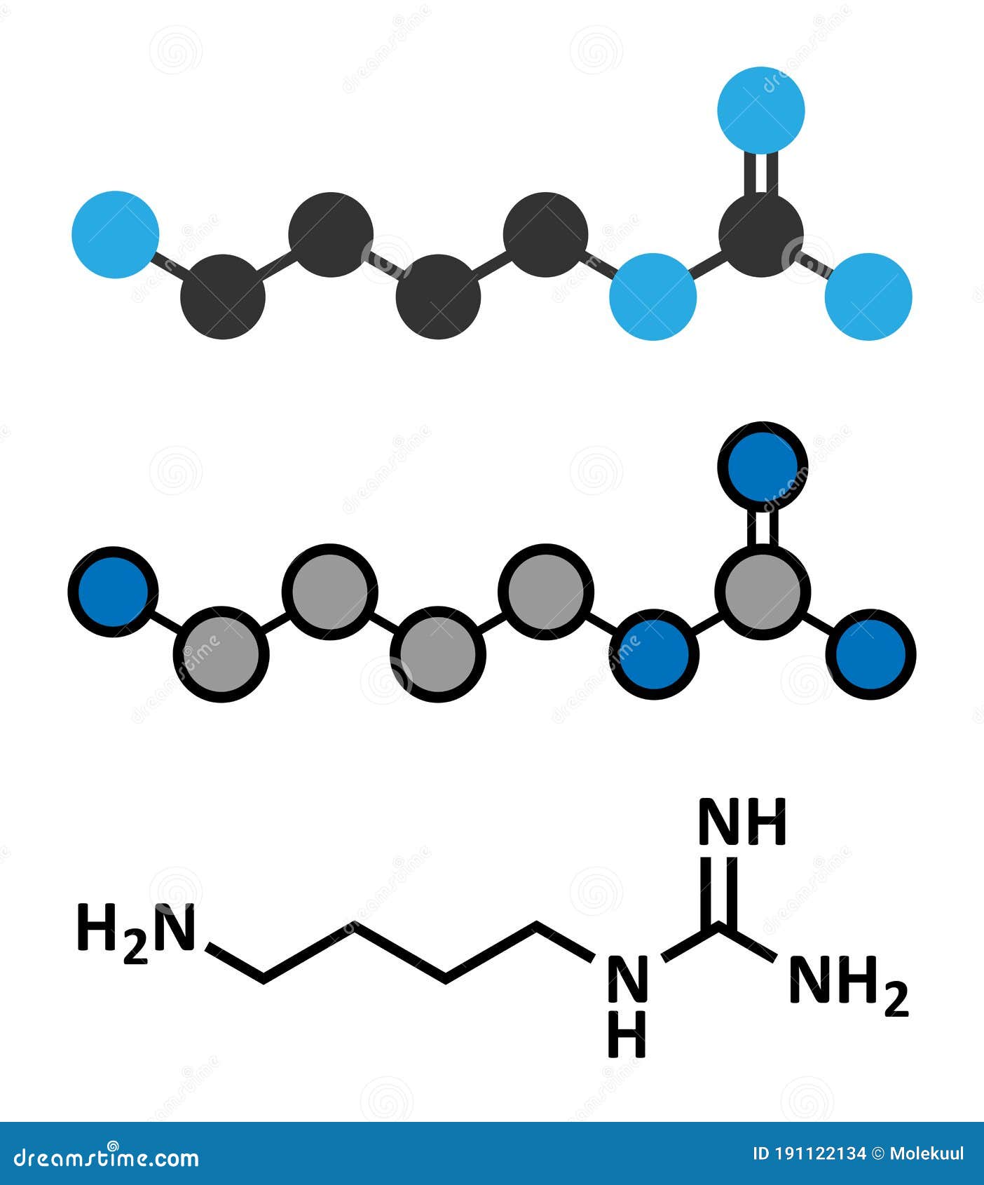 Agmatine Molecule. Stylized 2D Renderings and Conventional Skeletal ...