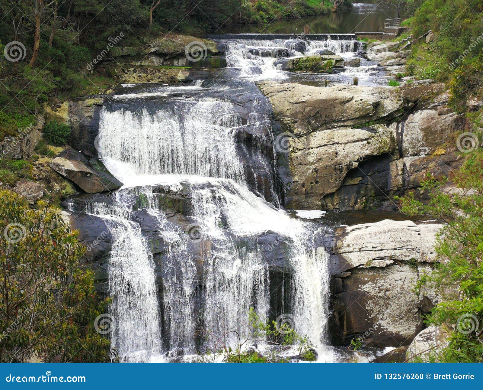 Agnes Falls, Hazel Park Victoria Stock Photo - Image of agnes ...