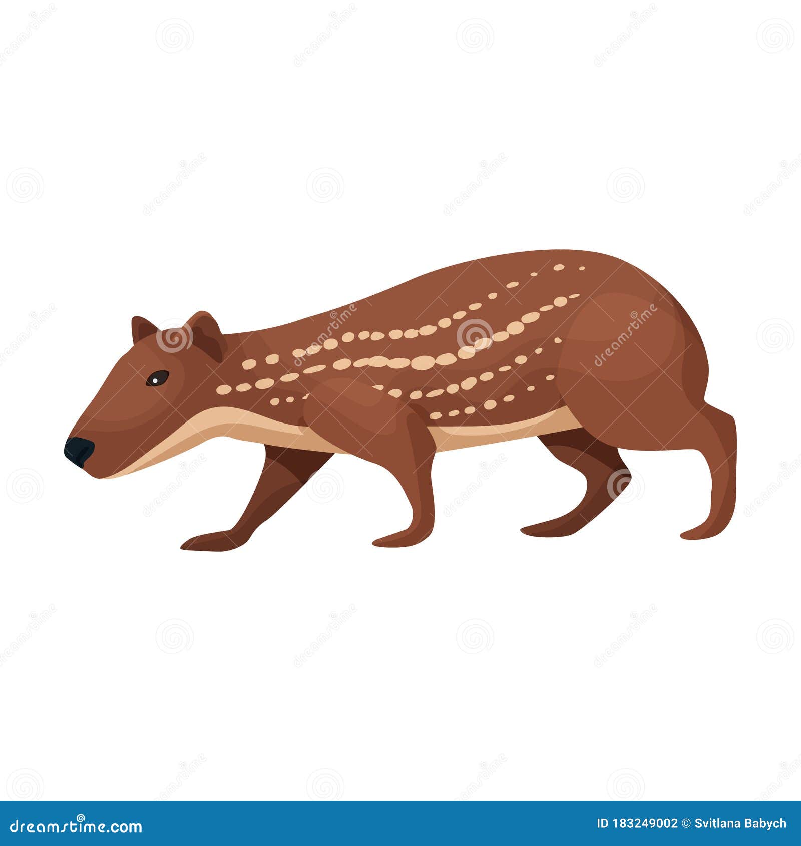 Agouti Vector Icon.Cartoon Vector Icon Isolated on White Background ...