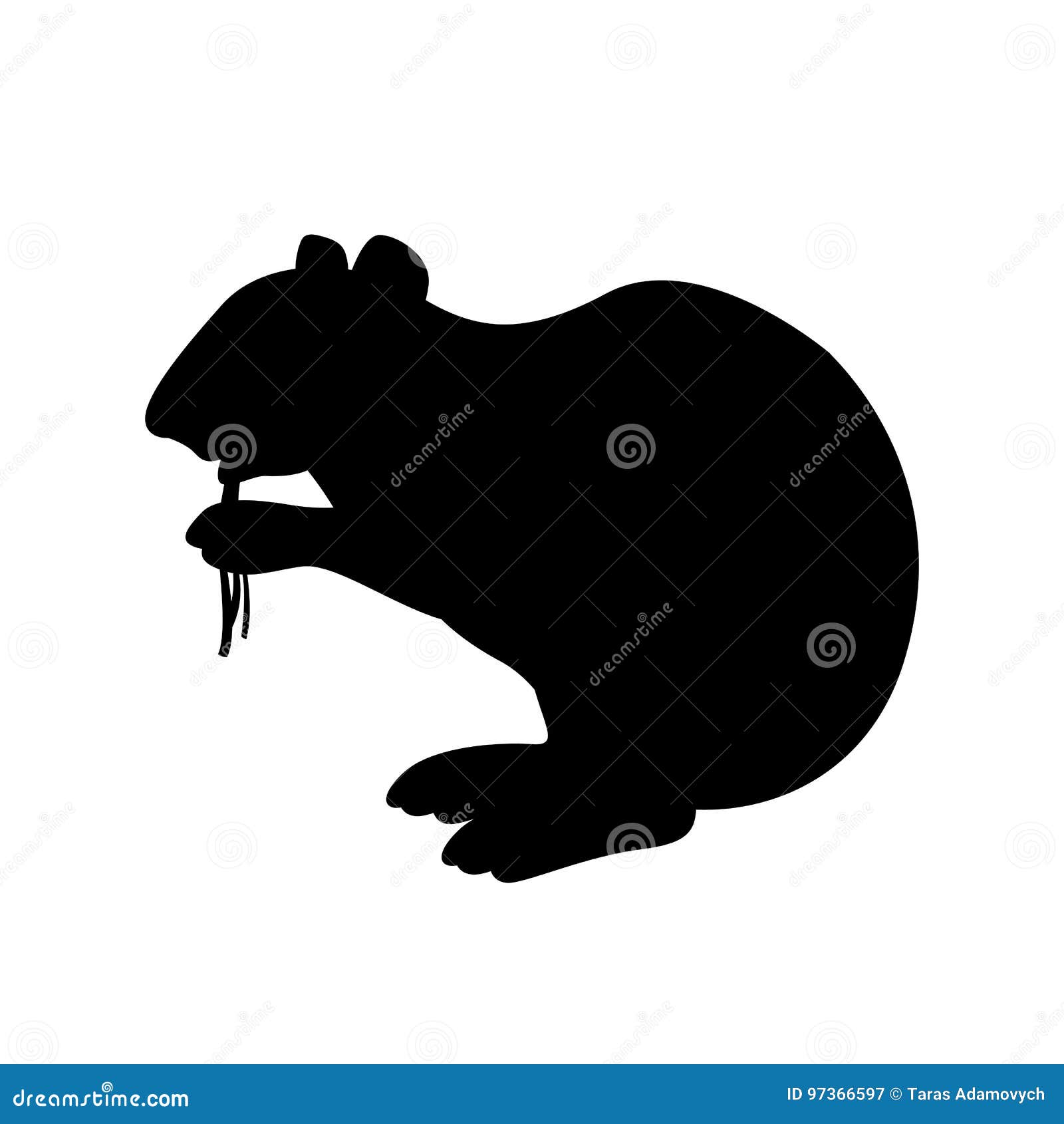 Agouti Vector Icon.Cartoon Vector Icon Isolated On White Background ...