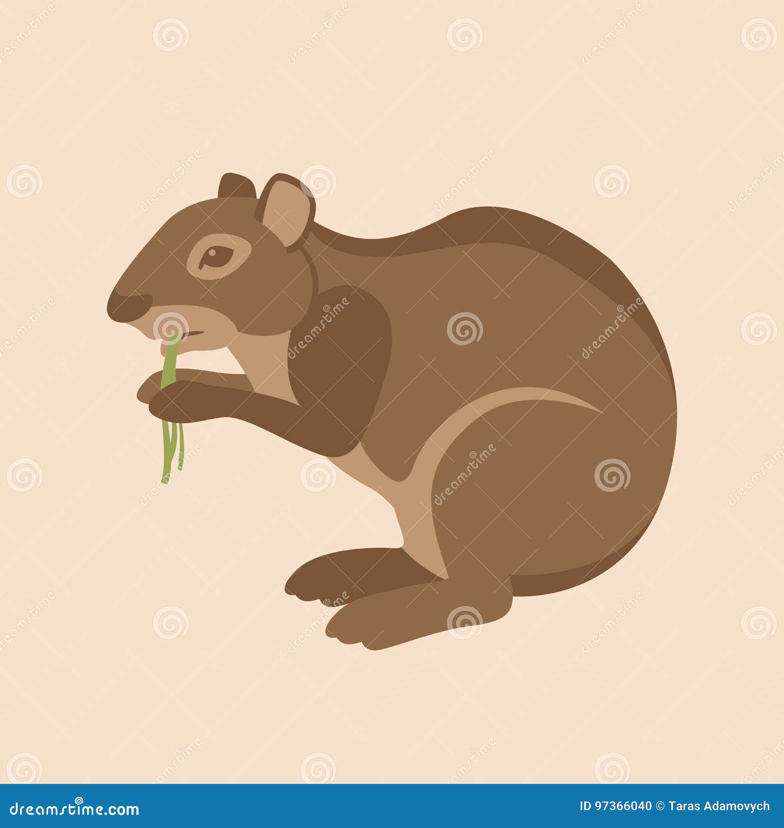 Agouti Vector Illustration Style Flat Stock Vector - Illustration of ...